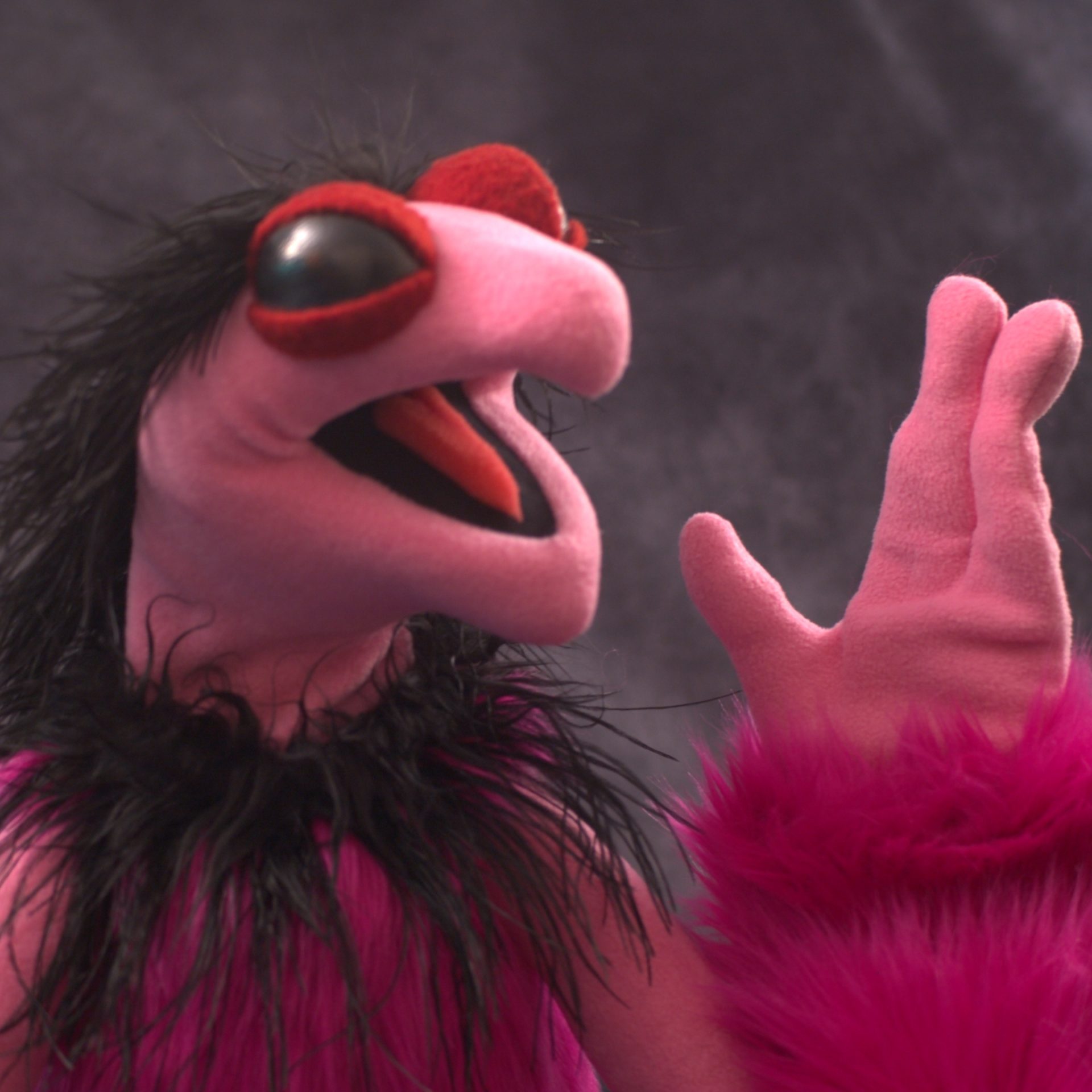 Neef Professional Hand Puppet (live hands version) – Operation: Puppet