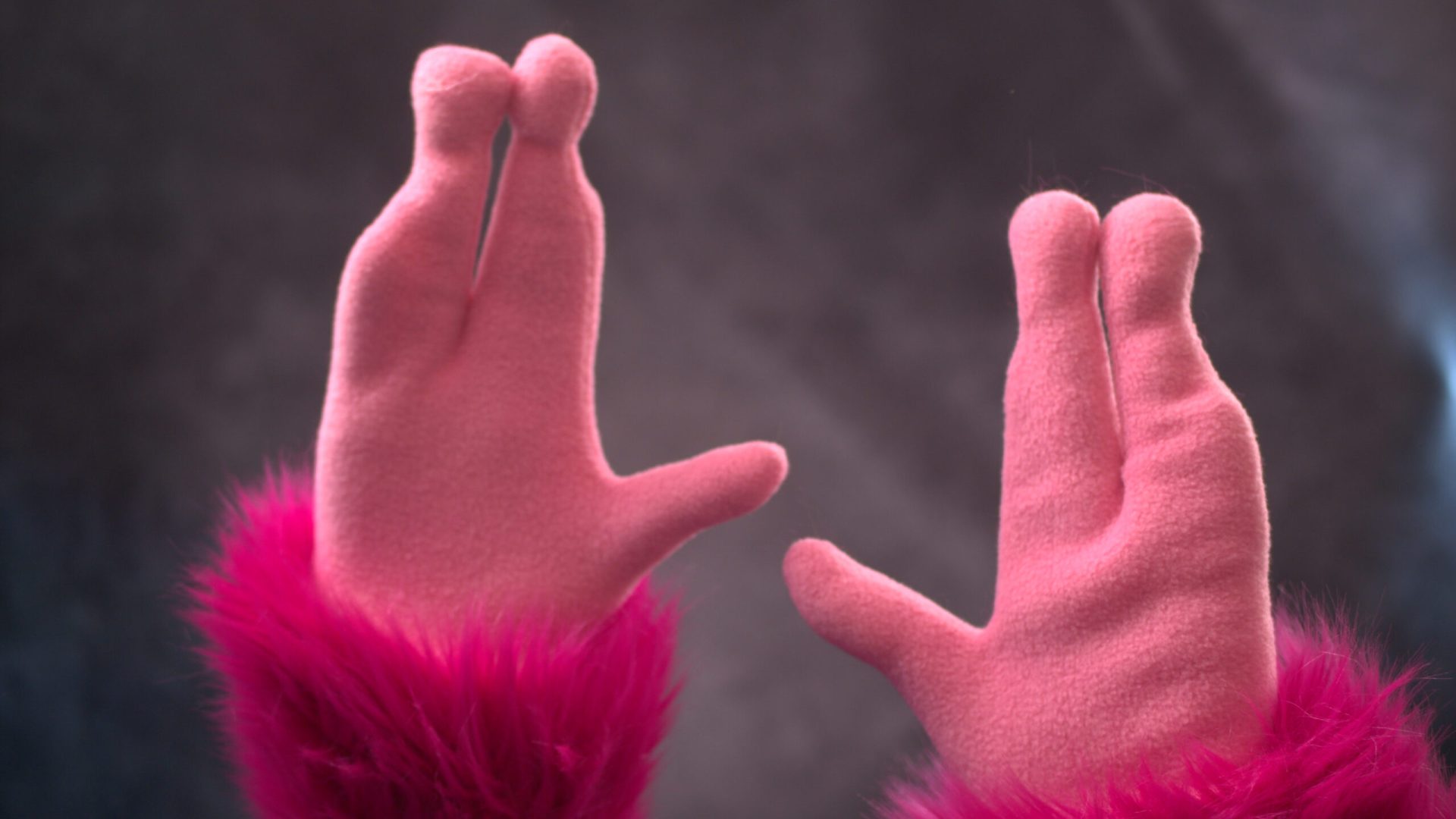 Neef Professional Hand Puppet (live hands version) – Operation: Puppet