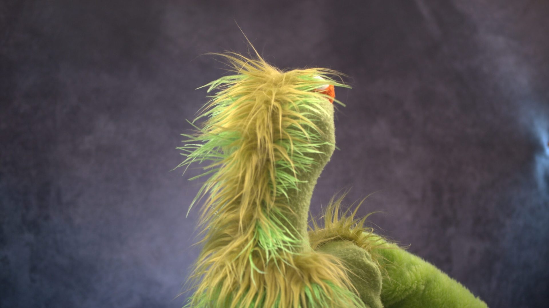 Green Neef Professional Hand Puppet (live hands version) – Operation ...