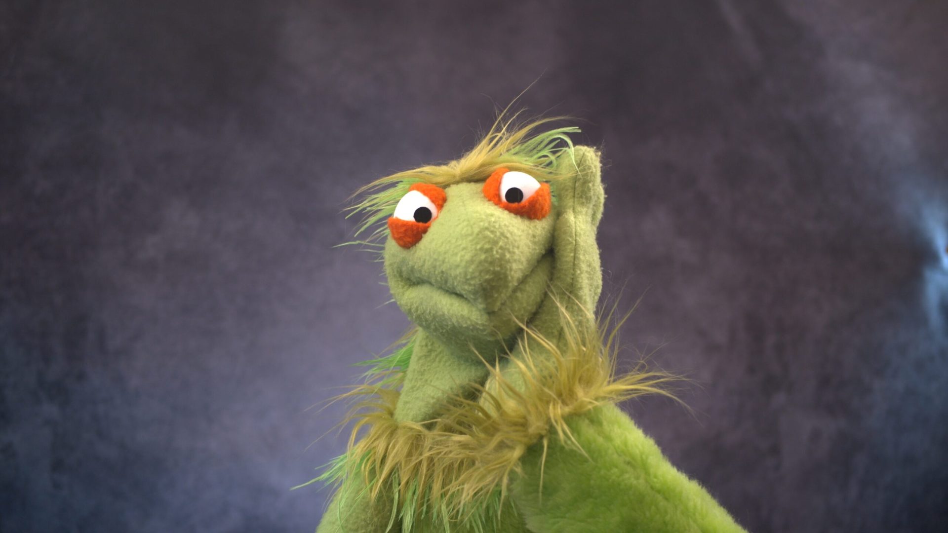 Green Neef Professional Hand Puppet (live hands version) – Operation ...
