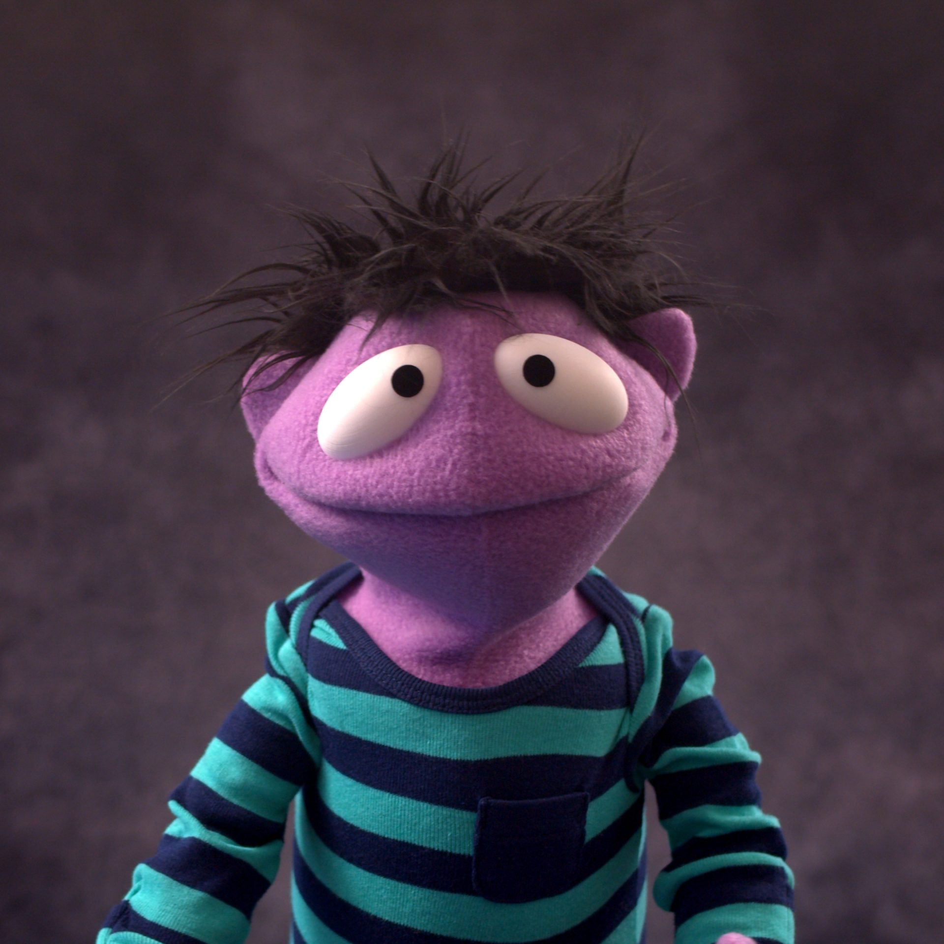 Hooman Professional Hand Puppet (purple) – Operation: Puppet