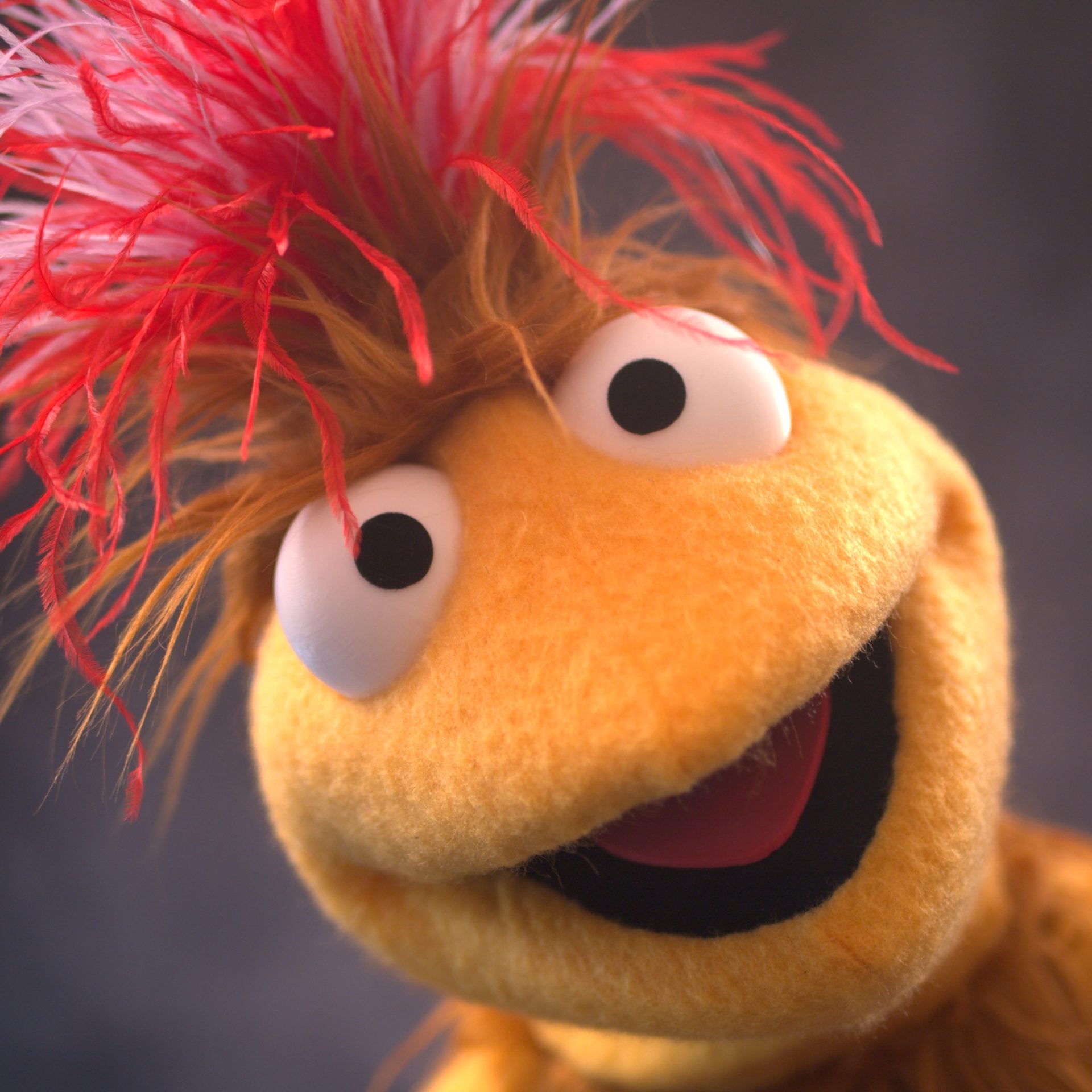 Orange Greeblee Professional Hand Puppet – Operation: Puppet