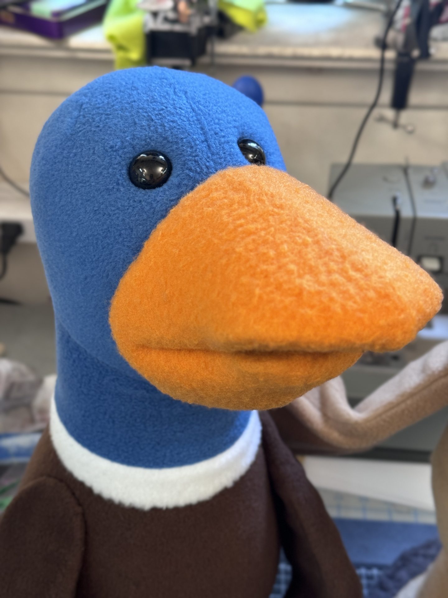 Webb and Juniper Custom Puppets for Scishow Kids YouTube Channel ...