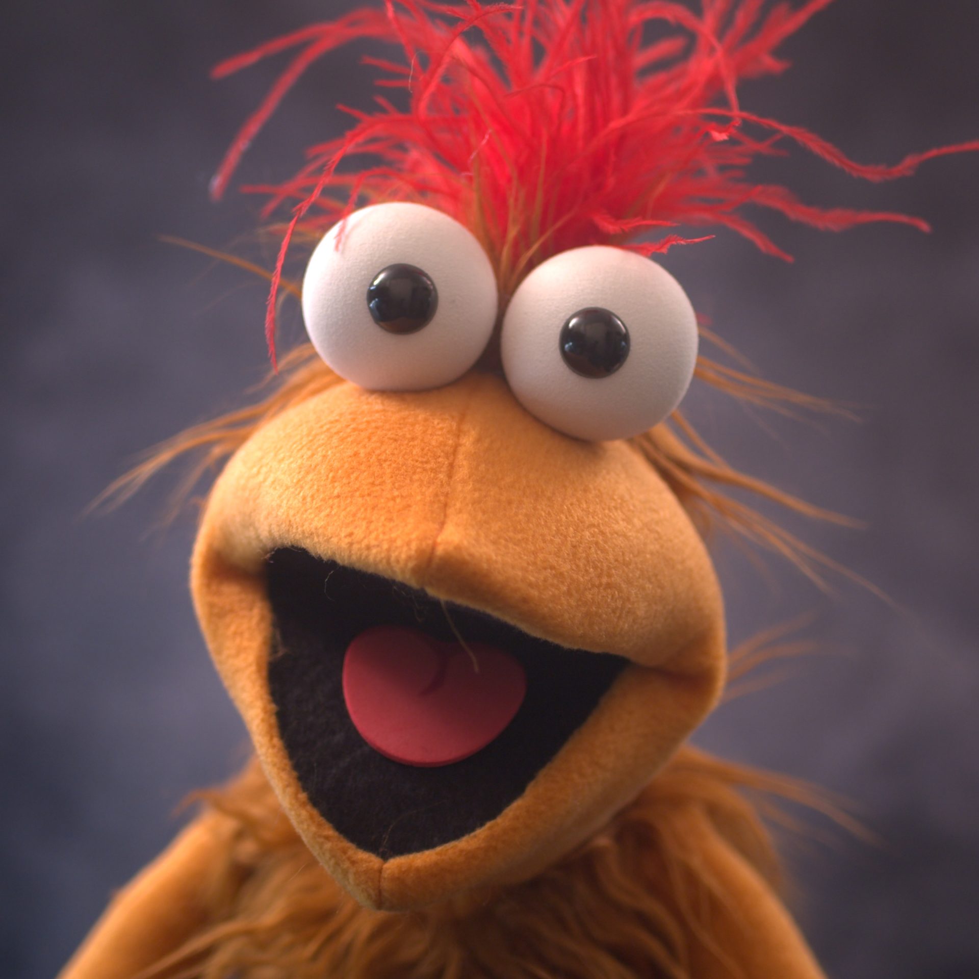 Orange and Brown Greeblee Professional Hand Puppet – Operation: Puppet