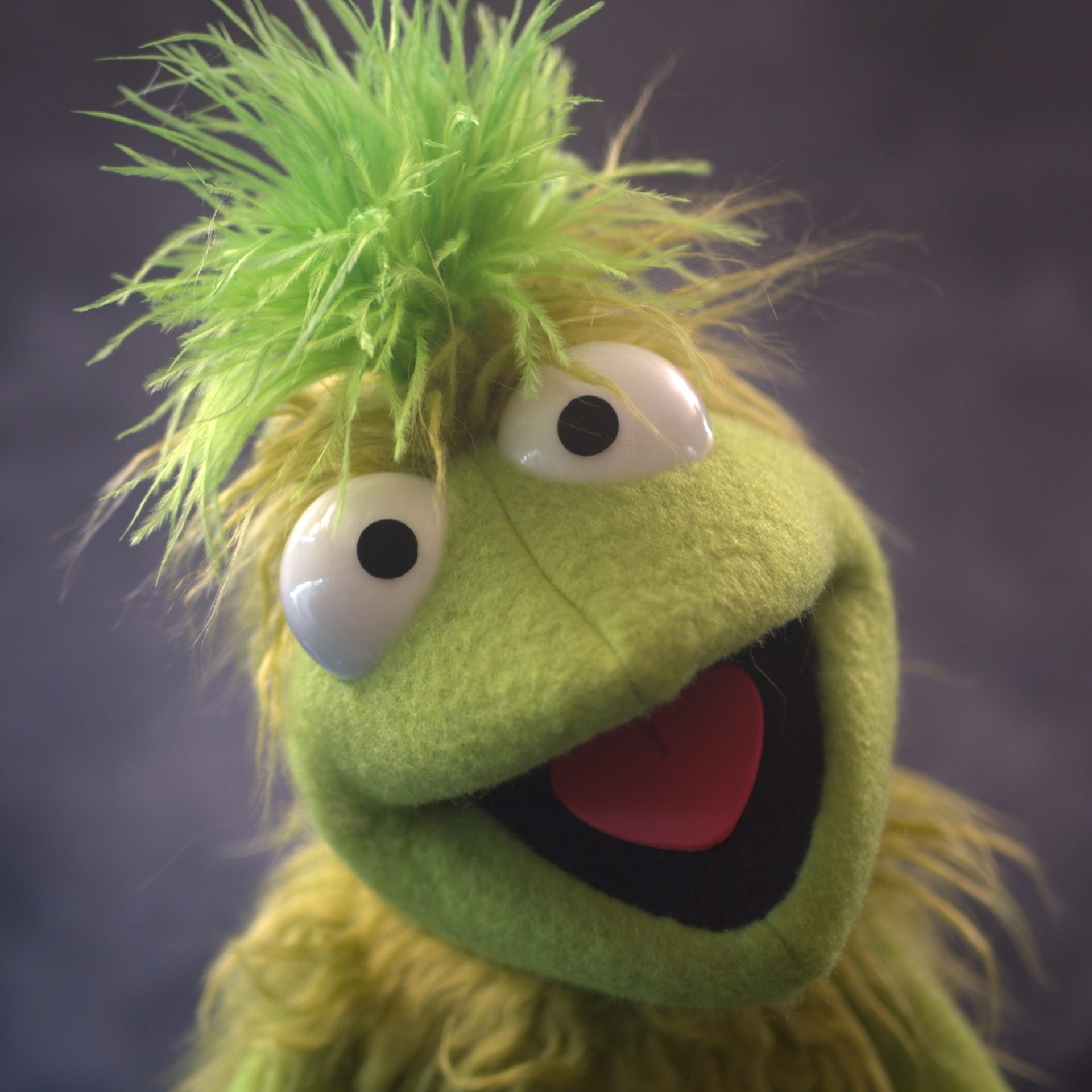 Green Greeblee Professional Hand Puppet – Operation: Puppet