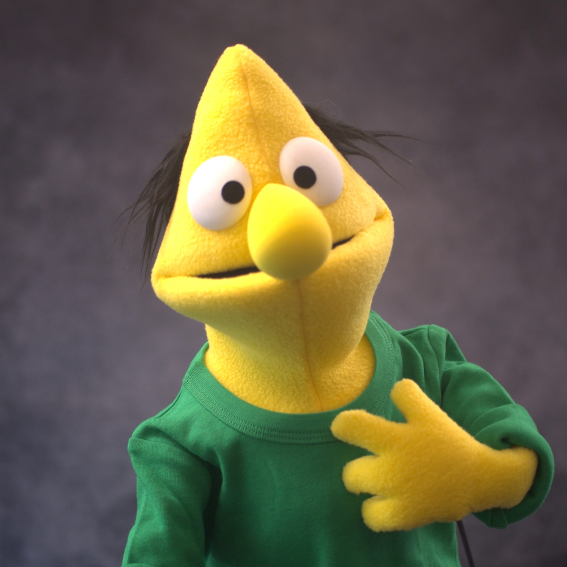 Hooman Professional Hand Puppet (yellow) – Operation: Puppet
