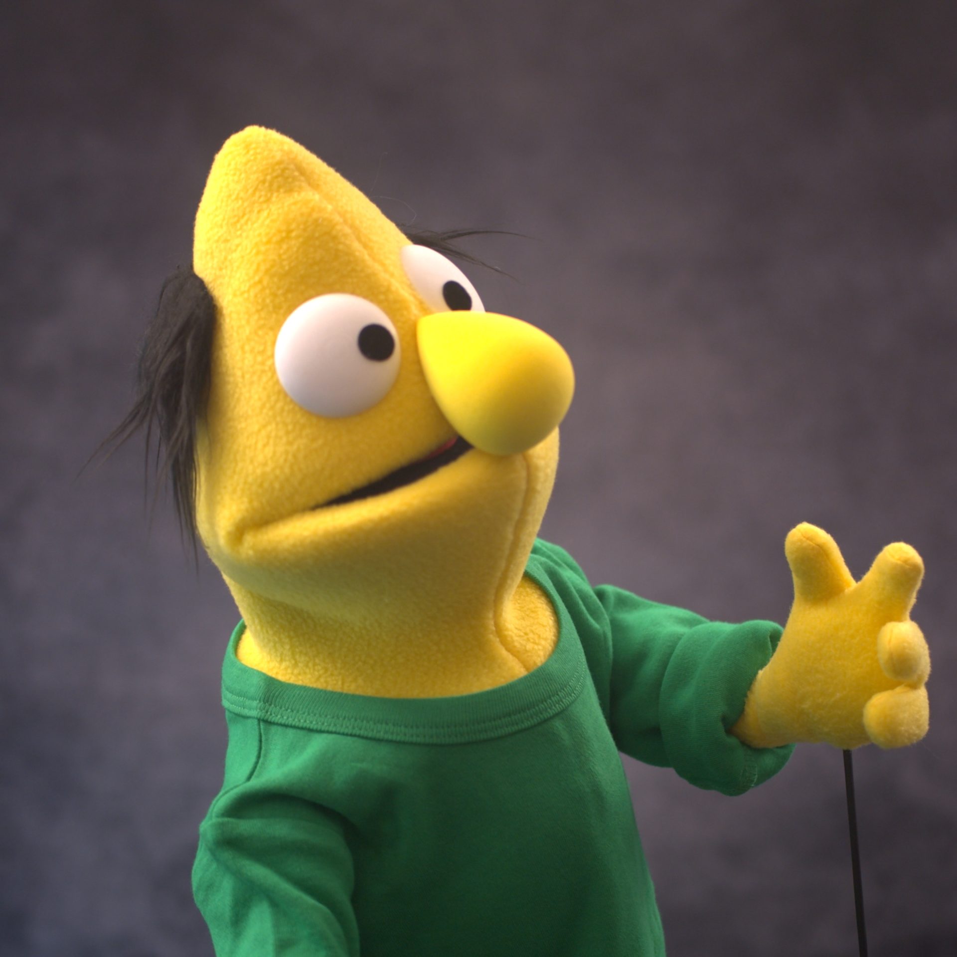 Hooman Professional Hand Puppet (yellow) – Operation: Puppet