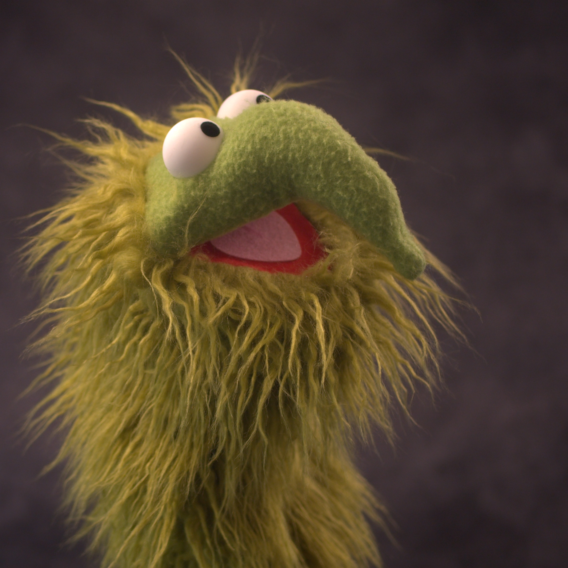 Sonk Puppets! Professional Practice Hand Puppet (green) – Operation: Puppet