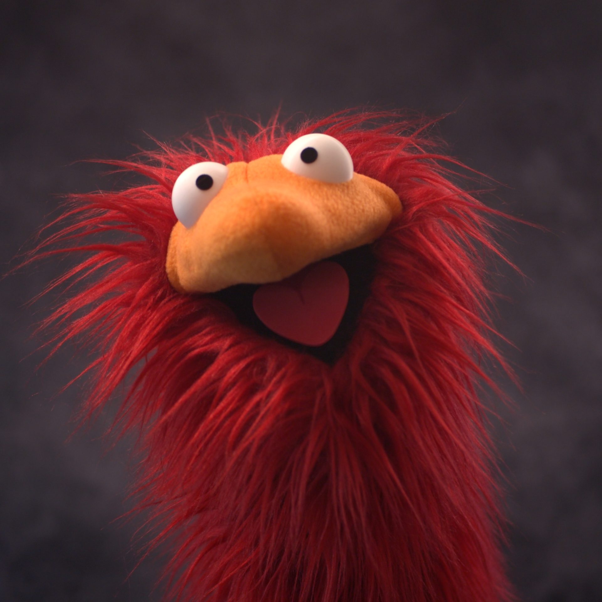 Sonk Puppets! Professional Practice Hand Puppet (orange) – Operation ...