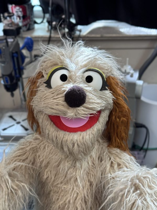Custom Dog Puppet – Operation: Puppet