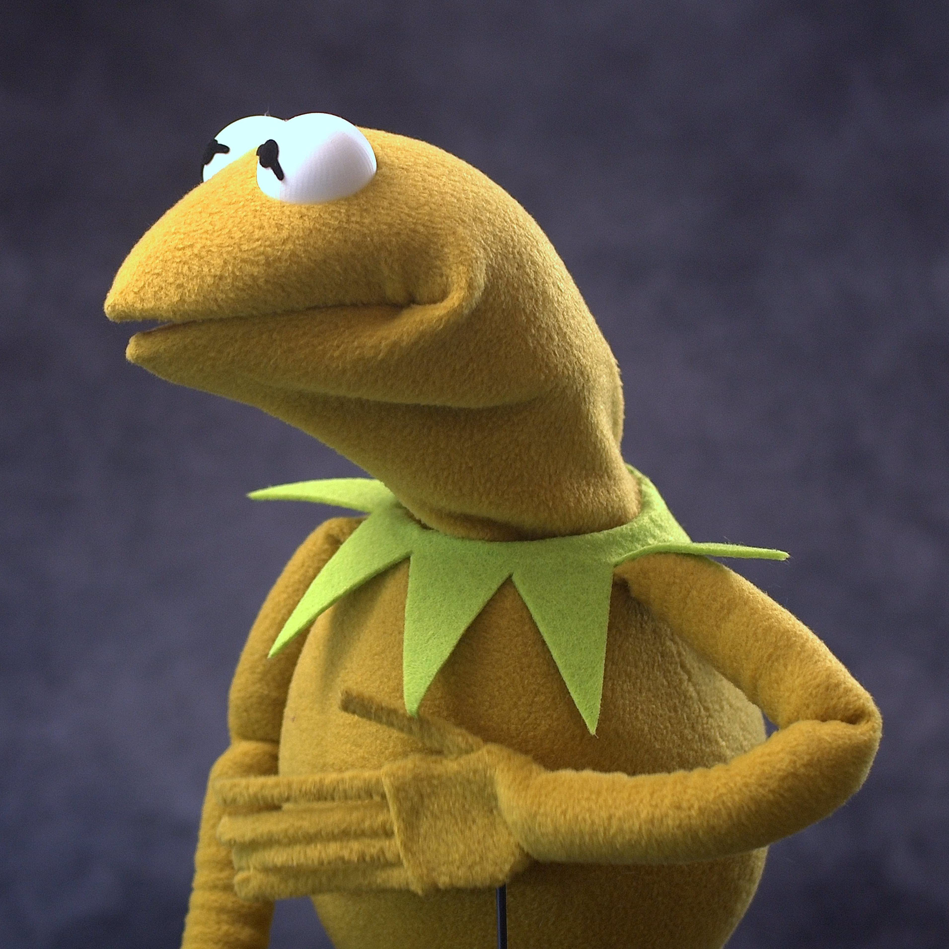 Legally Distinct Celebrity Amphibian (retro colours) – Operation: Puppet